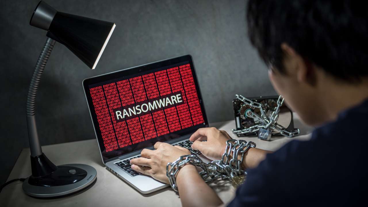 Facing Ransomware: What is Ransomware Rollback? - ArmourZero